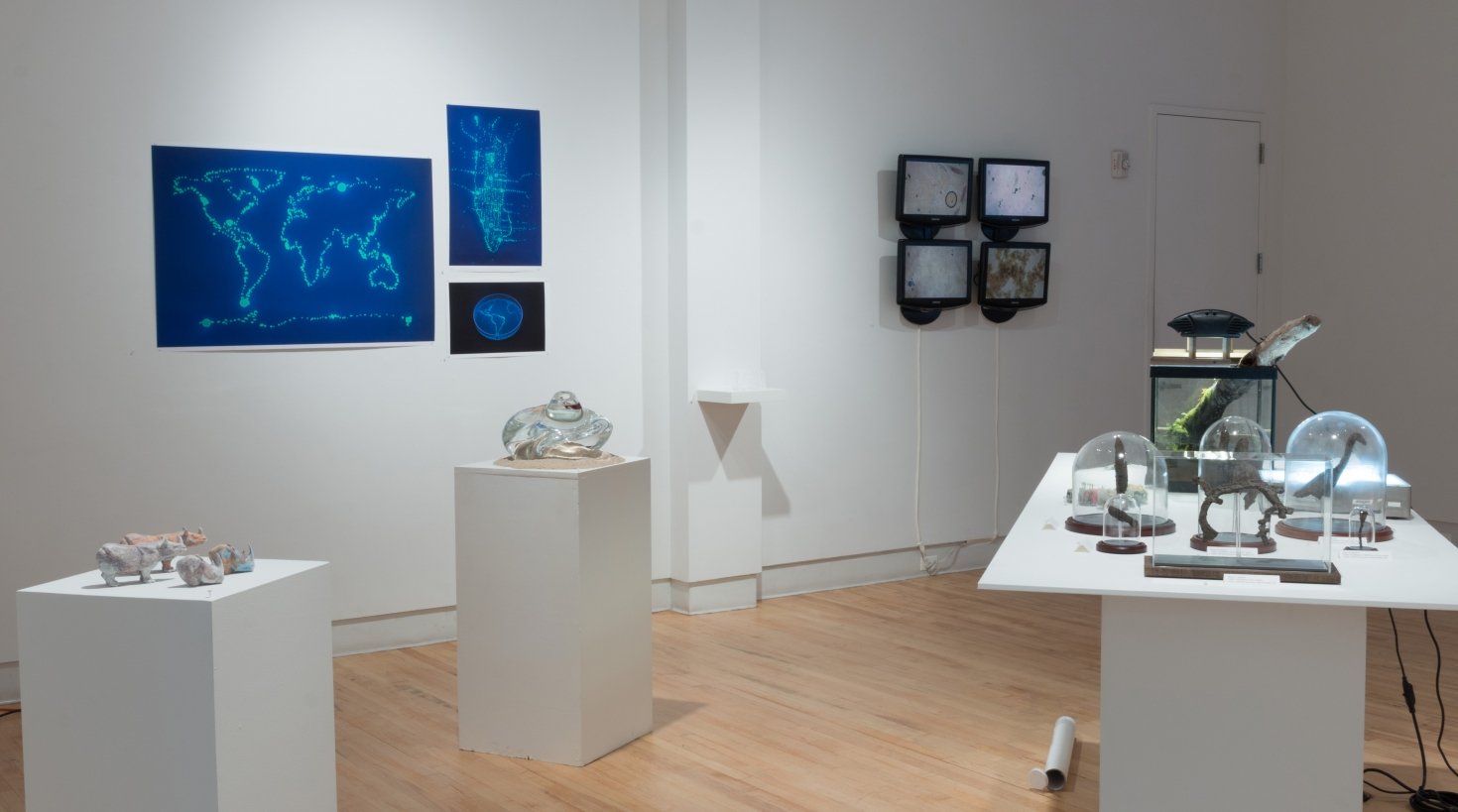 Where Is the Art in Bio Art? - SVA