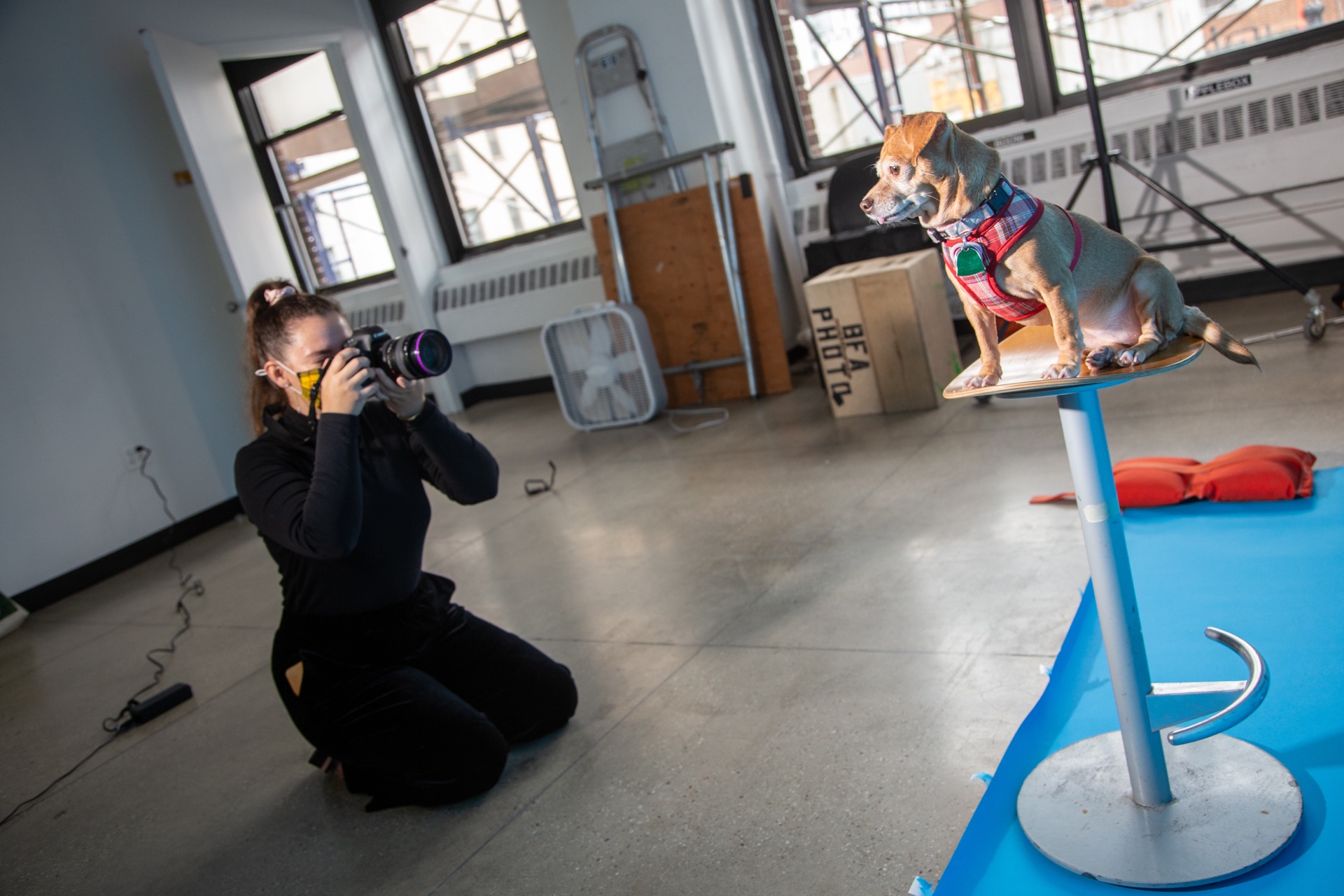 Online Learning at SVA: Adapting and Advancing - SVA